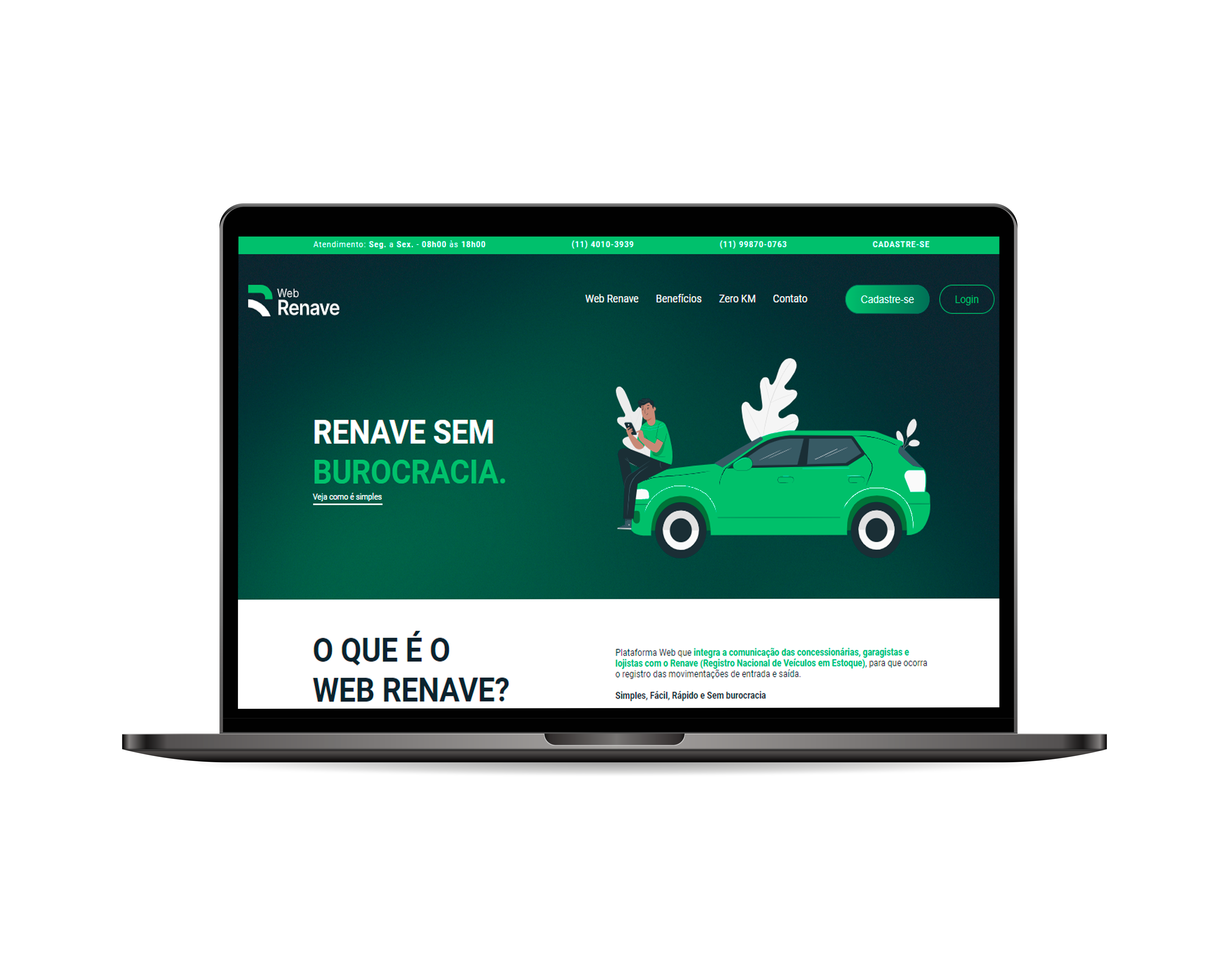 ENTENDA O RENAVE - WebRenave